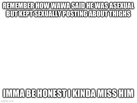 REMEMBER HOW WAWA SAID HE WAS ASEXUAL BUT KEPT SEXUALLY POSTING Blank Template Imgflip