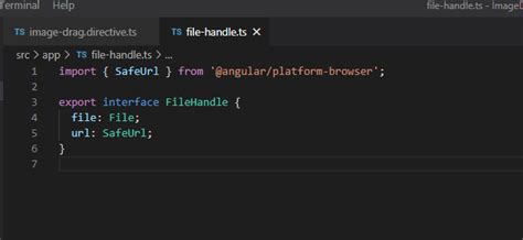 Drag And Drop Images From Your Computer To Angular Web Application