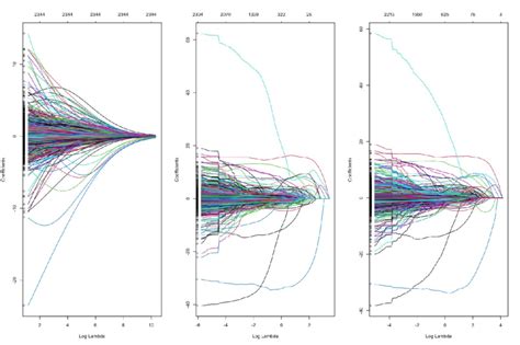 Model Coefficients Vs Shrinkage Parameter Lambda λ From Left To