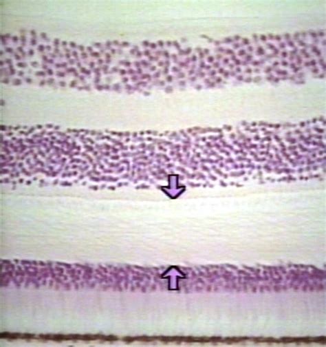 00201032 PEIR Digital Library