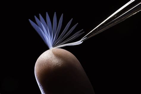 Shaping Shape Memory Achieving Active Control Of Polymer Shape