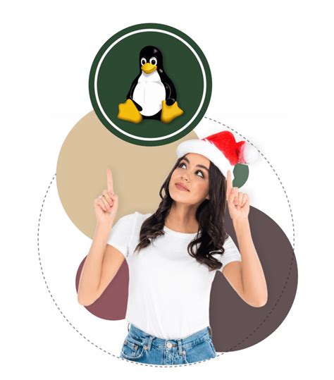 Stackcp Linux Web Hosting Christmas Sale Unlimited Stackcp And Cpanel