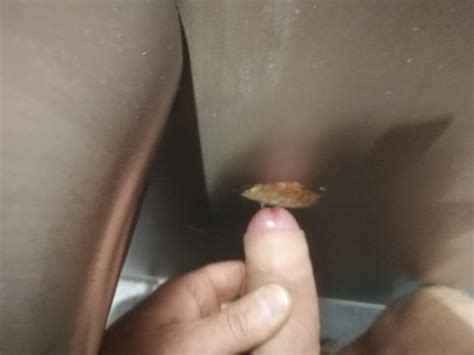 Austrian Gay Porn Videos Homosexual Euro Boys Xhamster