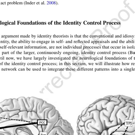 3 Brain Regions Involved In Implicit And Explicit Detection Of Download Scientific Diagram