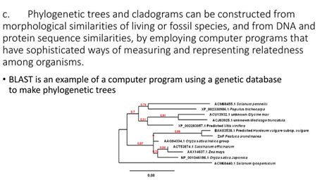 Segment 7 Speciation And Phylogeny Ppt Download