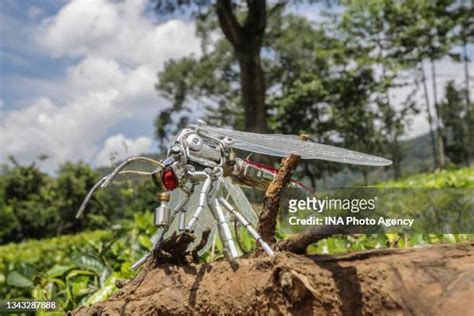 Transformers Robot Photos And Premium High Res Pictures Getty Images