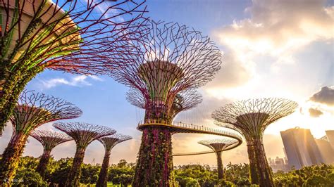 Gardens By The Bay Everything You Need Before Visiting