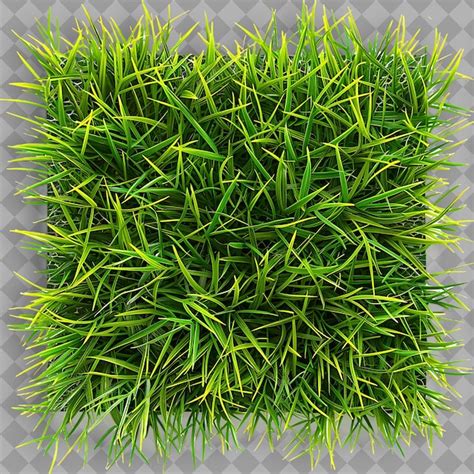 Page 2 Rough Grass Texture Psd High Quality Free Psd Templates For Download