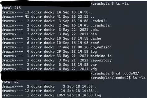 Restart Loop Issue With Configcode42log · Issue 386 · Jlesage
