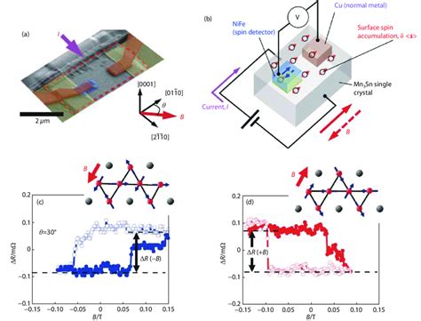 A Scanning Electron Microscope Image Of The Spin Accumulation Device Download Scientific