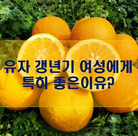 요즘 제철인 갱년기 여성에게 특히 좋은 음식은