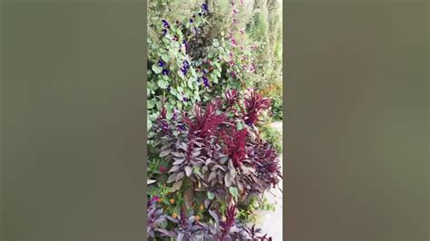 مسجد جامع میرزا الغ بیک ضیایی در ولسوالی درزاب Youtube