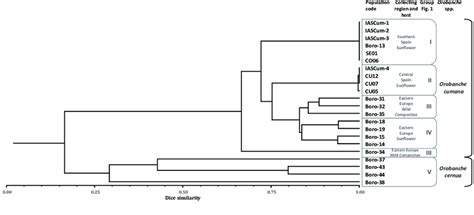 Upgma Dendrogram Based On Dice Similarity Matrix Between 18 Populations Download Scientific