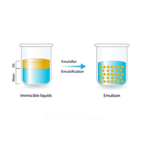 Understanding Emulsification The Science Behind Emulsions And Their Uses Loyal