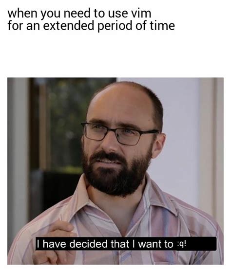 Vim R ProgrammerHumor