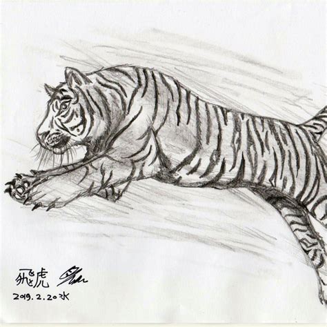 호랑이 그림 그리기소묘스케치 네이버 블로그