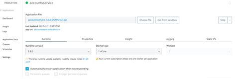 deploy the application in cloudhub technical