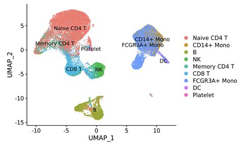 Cell Type Identification Bioinformatics Education And Services At Tufts
