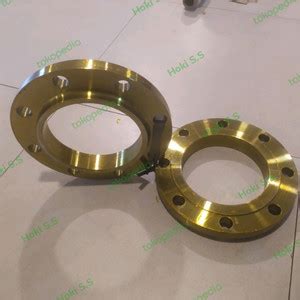 Jual Flange Besi Ansi Sorf Inch Dn Best Kab Semarang Indohomesmrng Tokopedia