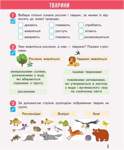НУШ Я досліджую світ 3 клас Робочий зошит До підручника Бібік Бондарчук Частина 2 з 2 х