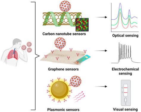 Frontiers Graphene Carbon Nanotube And Plasmonic Nanosensors For Detection Of Viral Pathogens