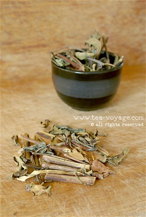 Java Tea - Tea Voyage