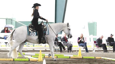 Western Trail Obstacles
