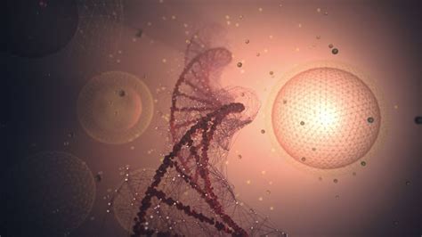 Exploring How Mobile Genetic Elements Can Accumulate Technology Networks