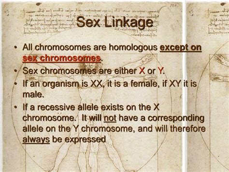 PPT Classical Mendelian Genetics PowerPoint Presentation Free Download ID 149740