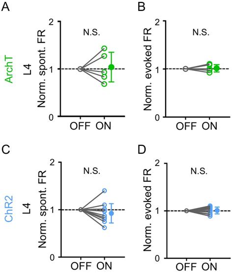 Figures And Data In Contextual And Cross Modality Modulation Of