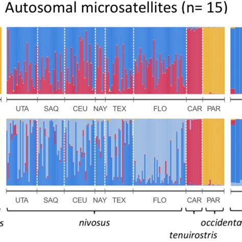 Results Of Bayesian Clustering Analyses Of Snowy Plovers Using Three Download Scientific
