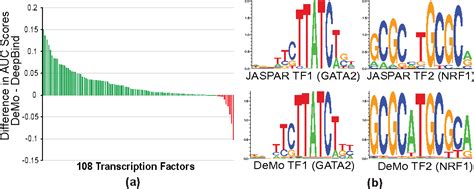Deep Motif Visualizing Genomic Sequence Classifications