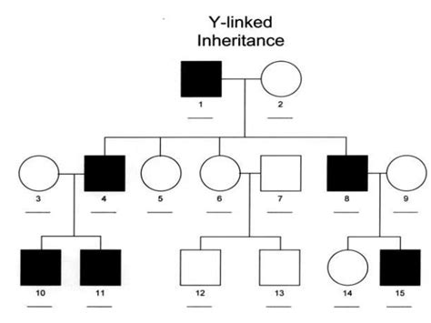 Modes Of Inheritancepptx Genetics Science