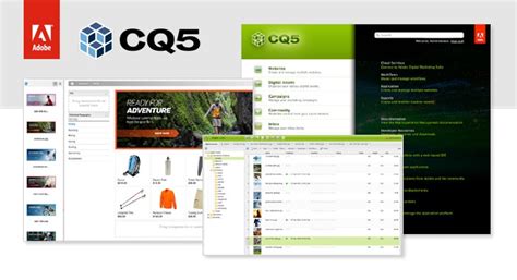 Lionsgate Software In Depth It Consulting Firm In Vancouver Bc Tel 604 5181895 Lionsgate