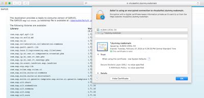 SAP ABAP Central Resolve Annoying Self Signed SSL Certificate Issue On ABAP Developer