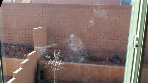 Increased Speed Minus Trajectory Of Flight Equals The Dust From Your Wings Imgur