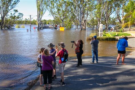 Swan Reach Swells With Daytrippers Keen To See The River Murray In