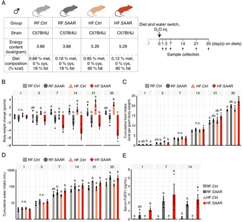 Dietary Sulfur Amino Acid Restriction Triggers Hyperphagia Download Scientific Diagram