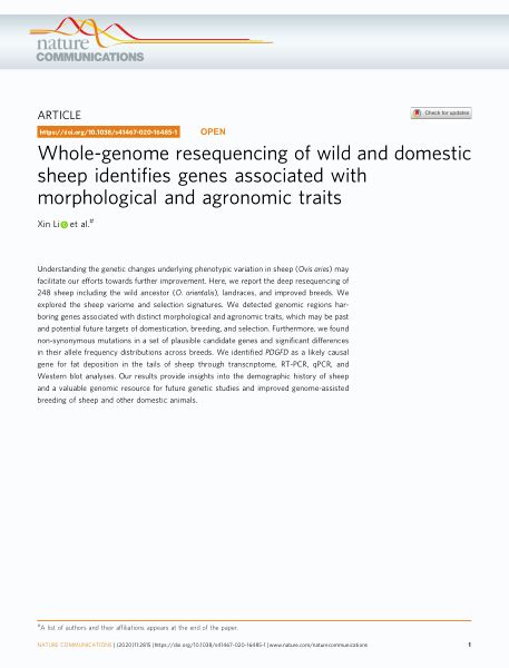 Whole Genome Resequencing Of Wild And Domestic Sheep Identifies Genes