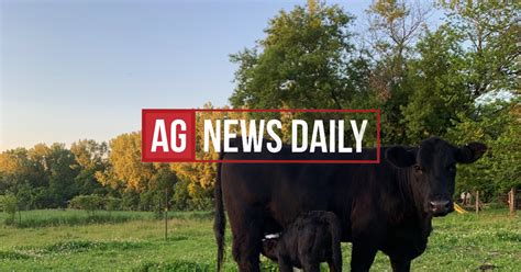 Global Ag Network July 21 2023 Carbon Markets Impact On Livestock With Joe Kerns