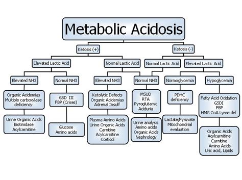 21 Best Metabolic Acidosis Project Images On Pinterest Nursing