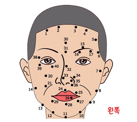관상보는법 얼굴 점 위치로 알아보자 네이버 블로그