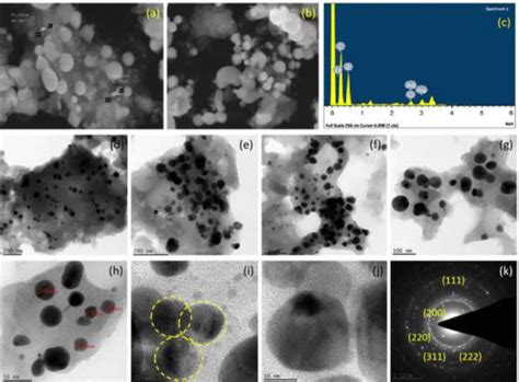 A C Sem Image Of Green Synthesized Agnps And Edx Spectrum Of Agnps