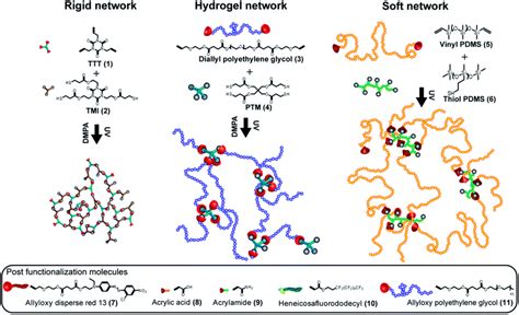 Uv Initiated Thiolene Chemistry A Facile And Modular Synthetic
