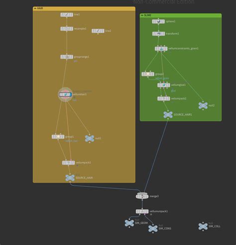 Interaction Between Vellum Grain And Hair Rhoudini