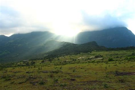 Pitawala Pathana Matale 2020 All You Need To Know Before You Go