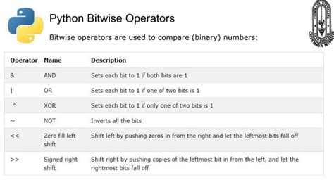 Python Fundamentals Class 11 Pdf Programming Languages Computing
