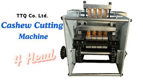 Cashew Nut Processing Plant Cost Cashew Processing Machine Cashew Processing Plant And