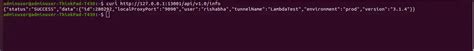 Localhost Testing With Docker Tunnel Lambdatest