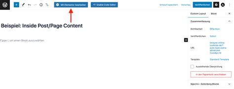 Astra Custom Layouts So Passt Du Deine Website Flexibel An